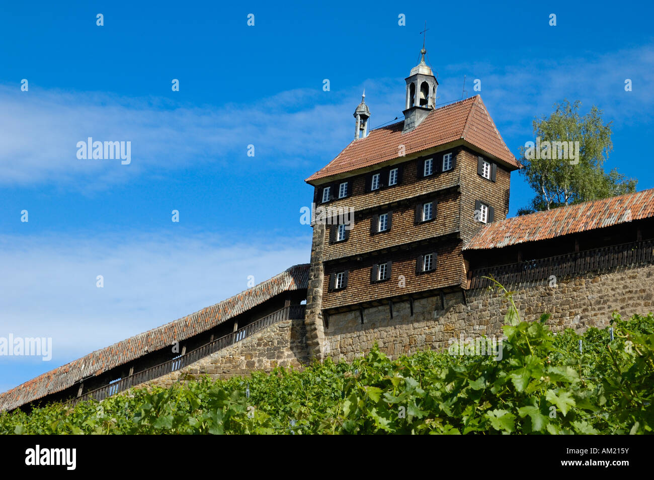 Esslingen Castle, Esslingen am Neckar, Baden-Wuerttemberg, Germany ...