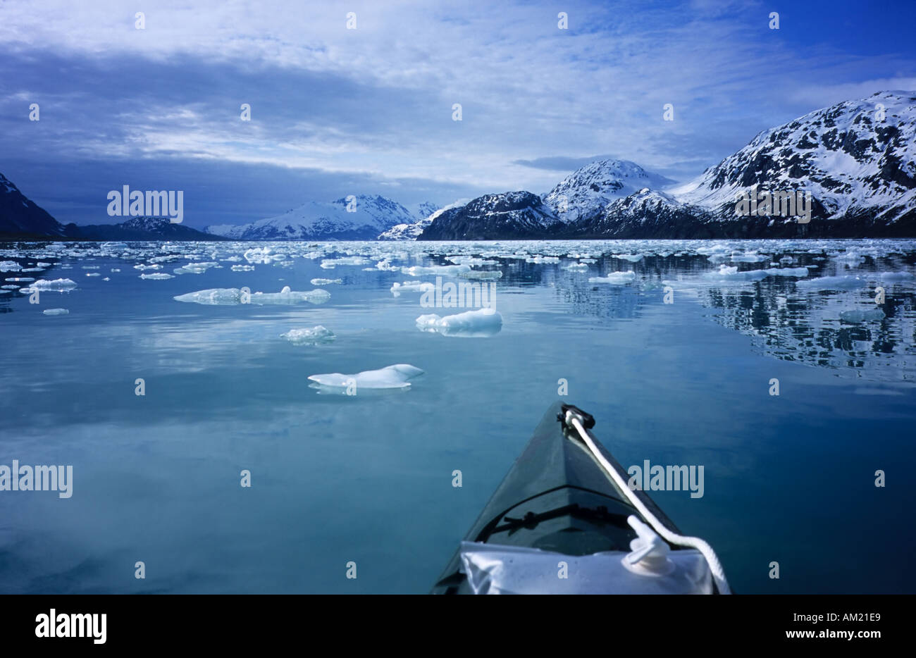 Kayaking among the icebergs, Tarr Inlet, Glacier Bay National Park ...