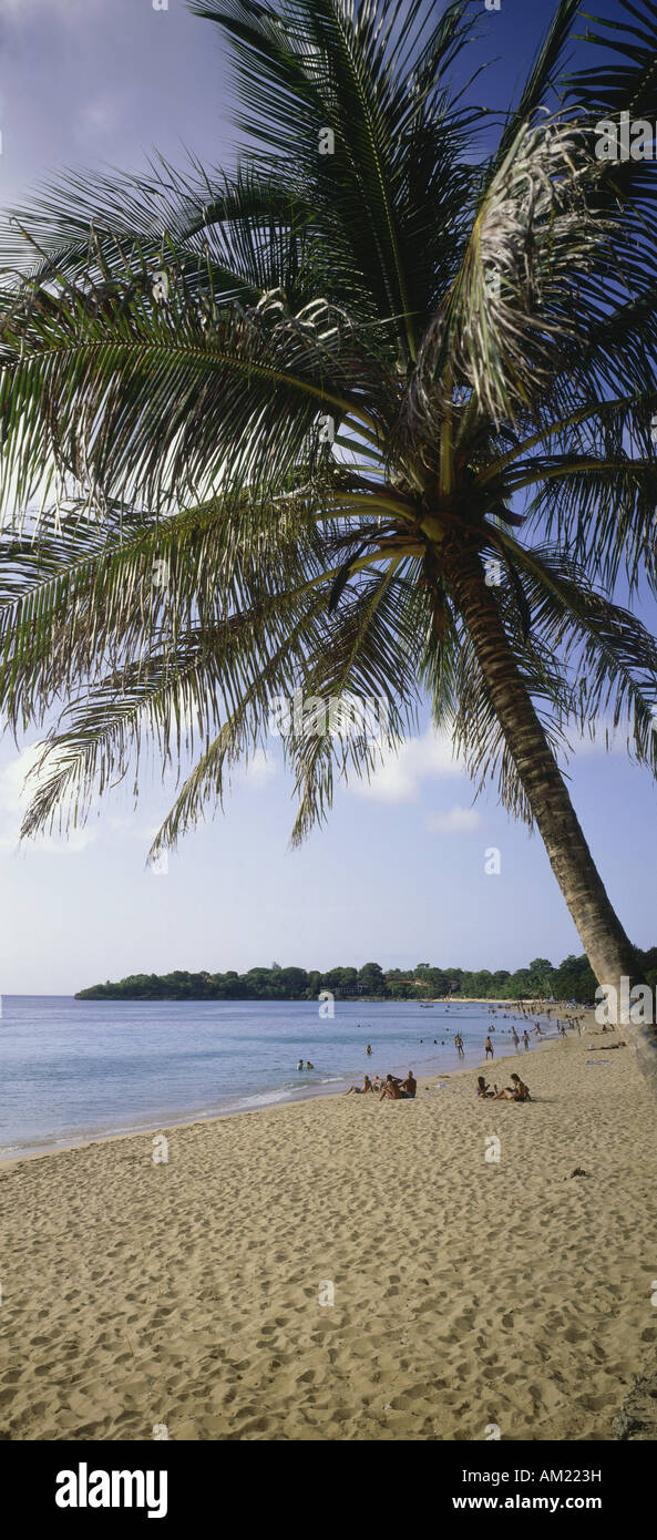 geography / travel, Dominican Republic, landscapes, beaches, Sosua ...