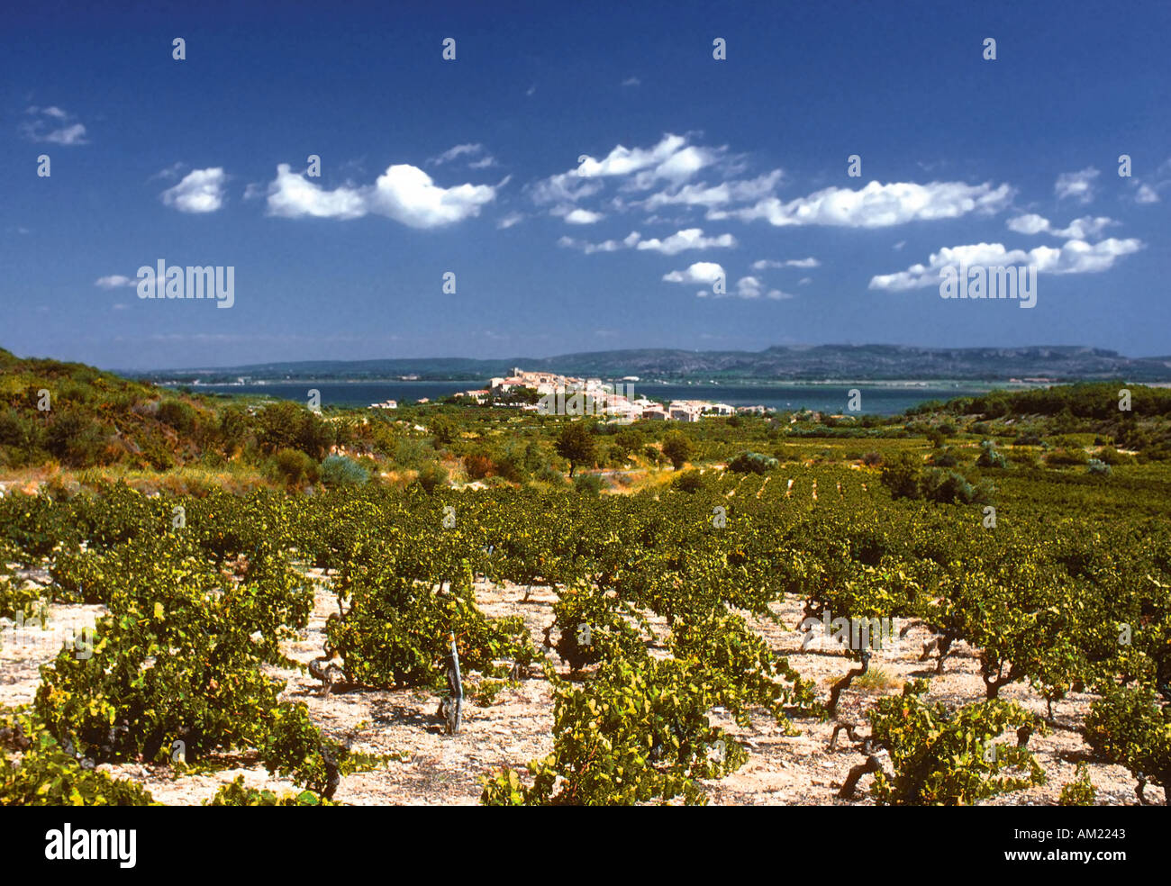 France aude bages village lake hi-res stock photography and images - Alamy