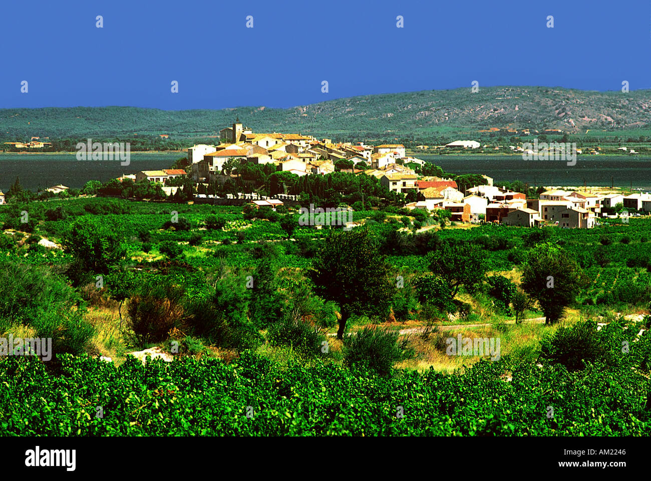 France aude bages village lake hi-res stock photography and images - Alamy
