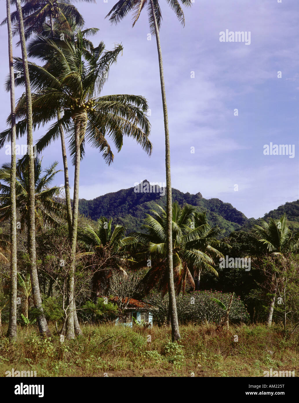 Rarotonga new zealand hi-res stock photography and images - Alamy