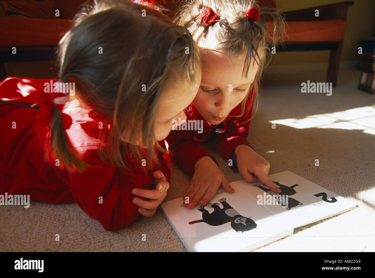 Reading in the loo hi-res stock photography and images - Alamy