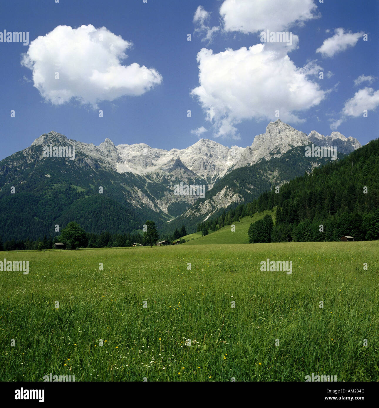 geography / travel, Austria, Tyrol, landscapes, meadow in summer with ...