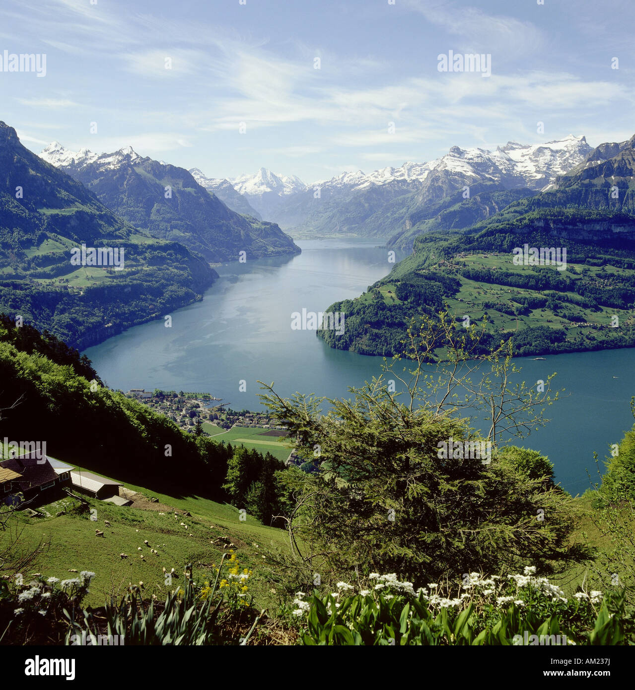 Look at the lake lucern vierwaldstaetter see lake hi-res stock ...