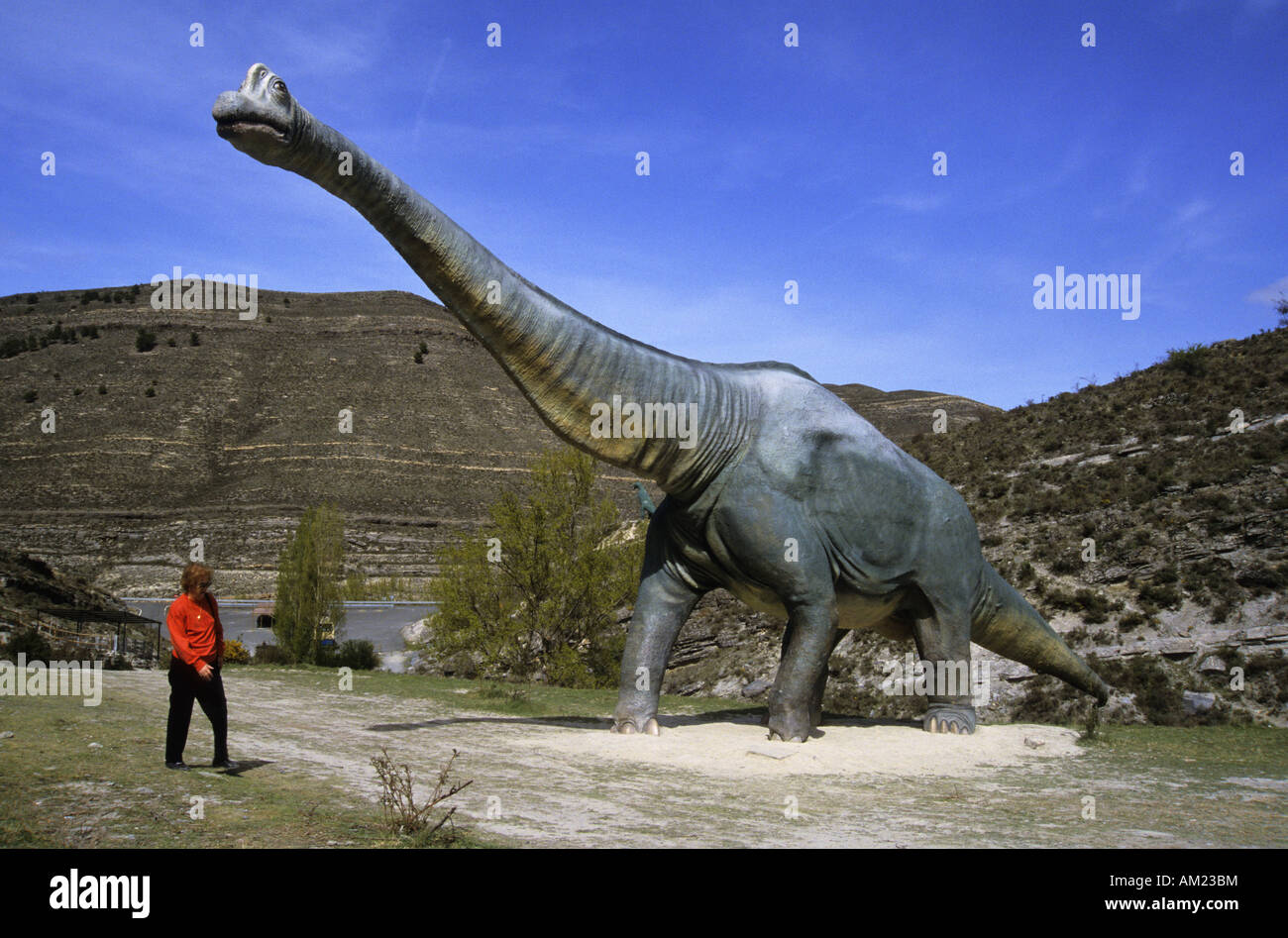 Brachiosaurus Size