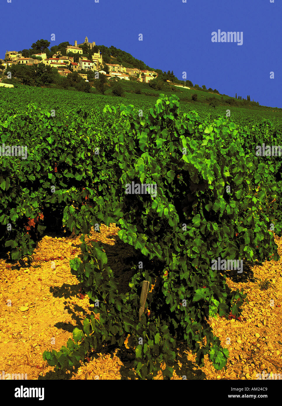 Rasteau hi-res stock photography and images - Alamy