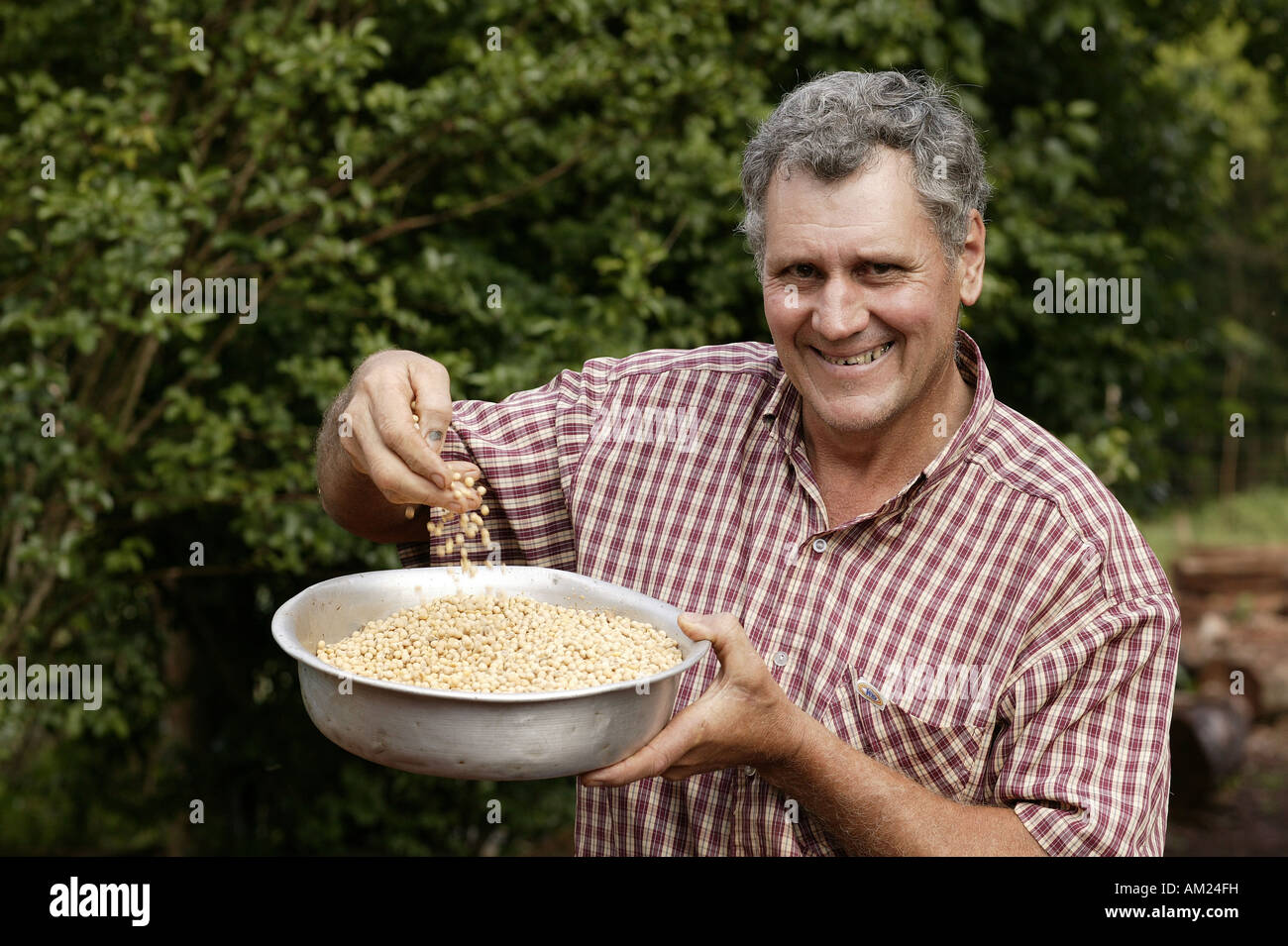 Farmer with soy beans of genetically modified seeds, Paraguay, South ...
