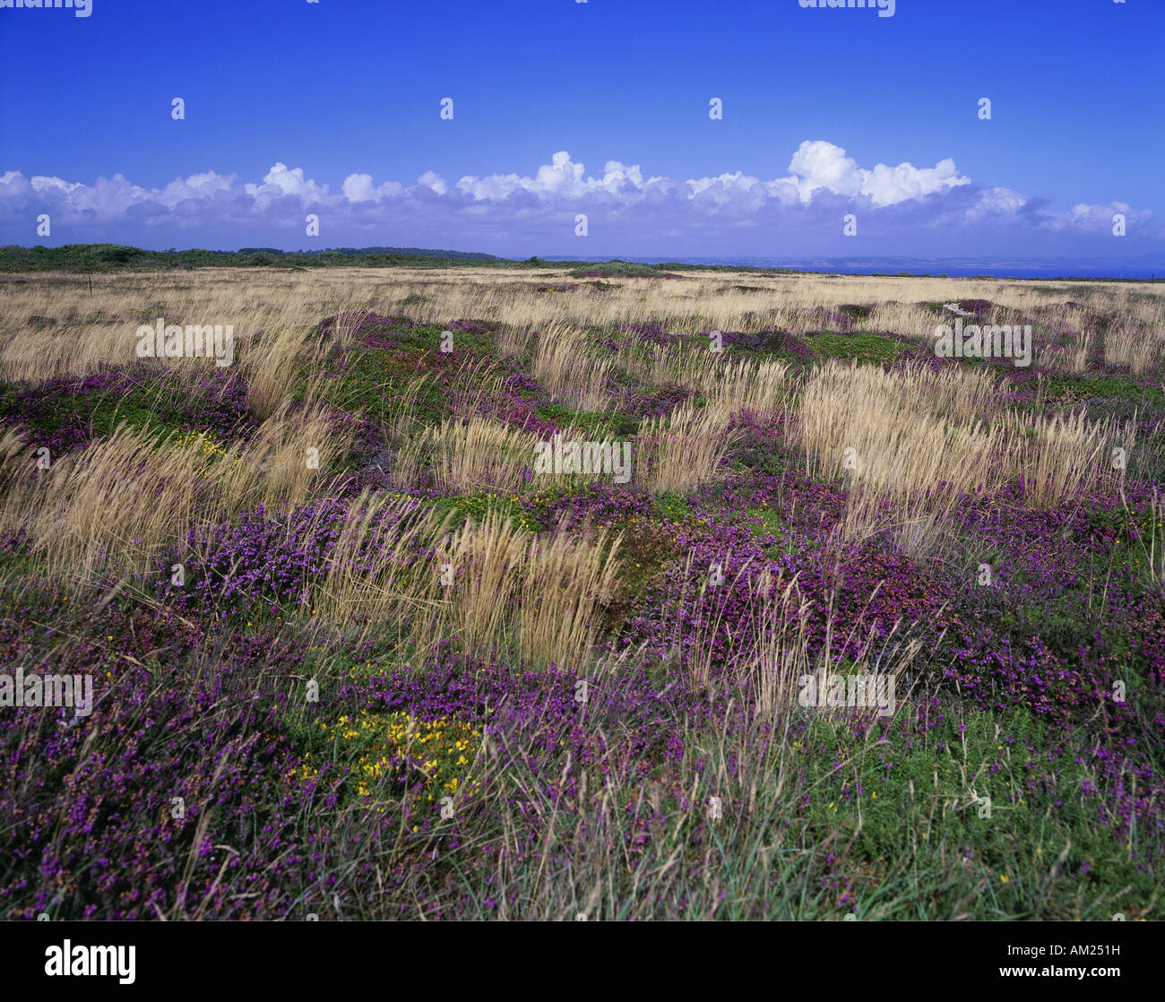 geography / travel, France, Brittany, landscape, landscapes with ...