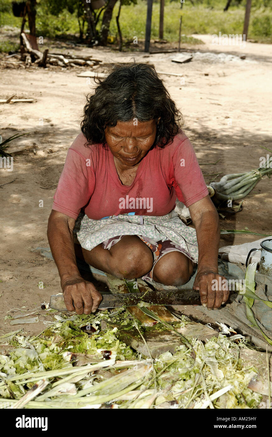 Native American Women Work Indian High Resolution Stock Photography and ...
