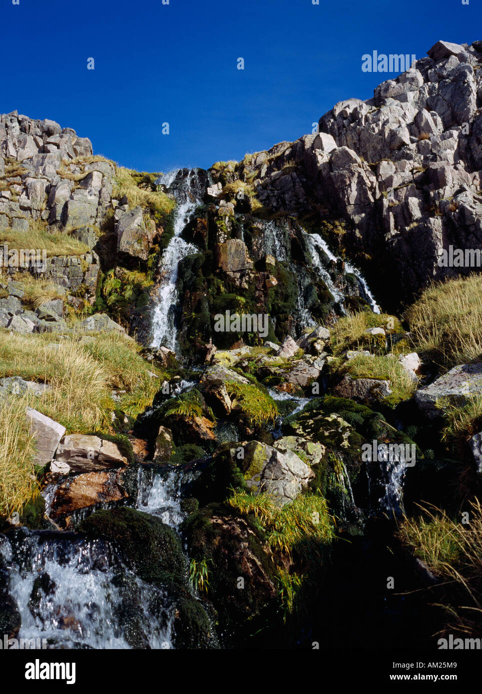 Inchnadamph forest scotland hi-res stock photography and images - Alamy