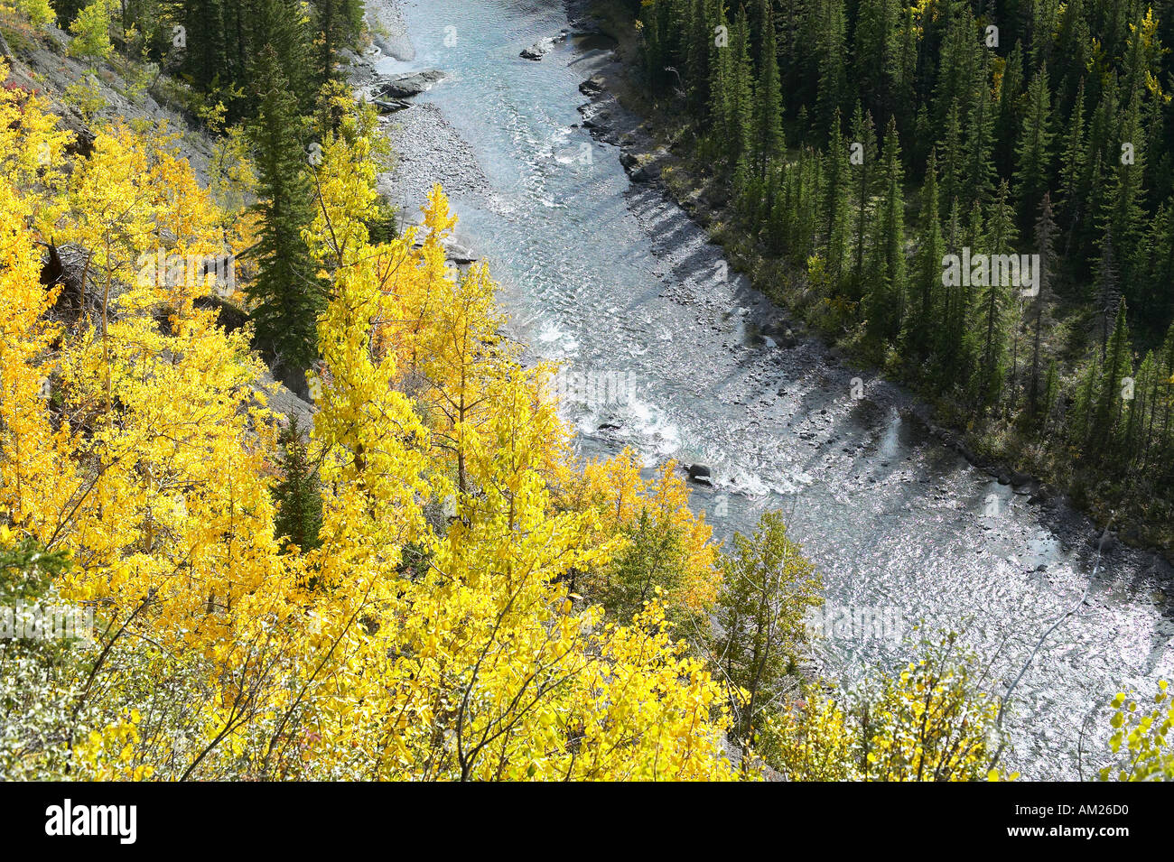 Elbow River in Autumn Alberta Canada Stock Photo - Alamy