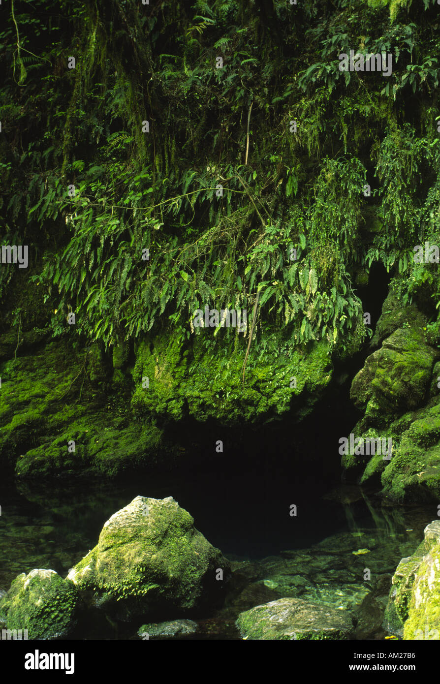 Riwaka river hi-res stock photography and images - Alamy