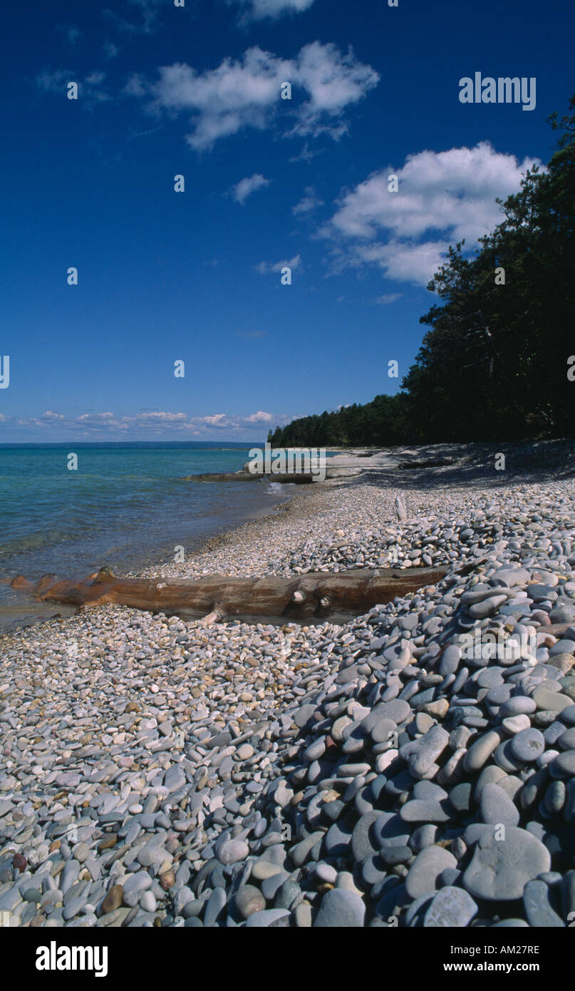 Michigan flora and fauna hi-res stock photography and images - Alamy