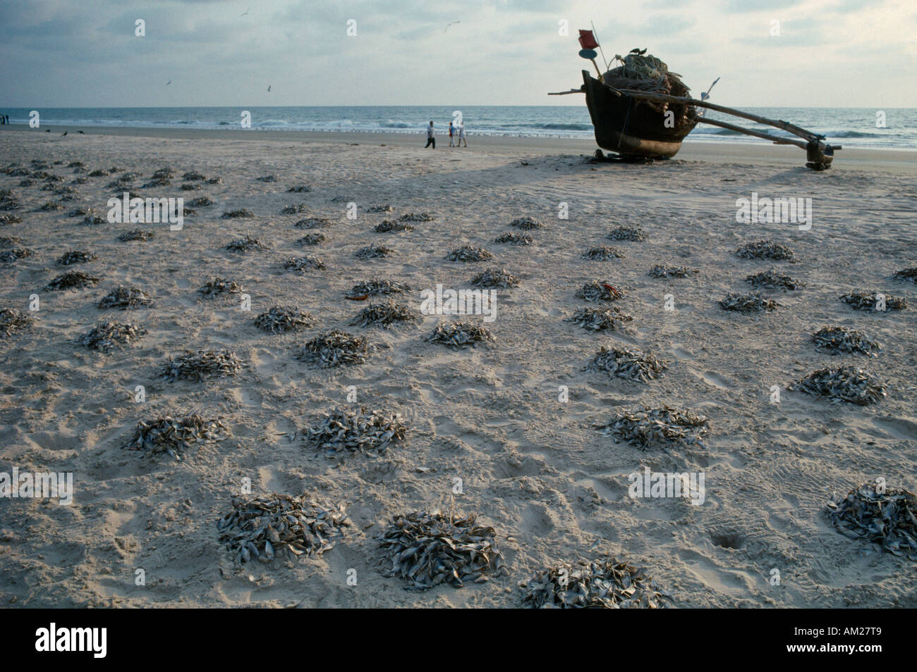 Goan fishing boats hi-res stock photography and images - Alamy