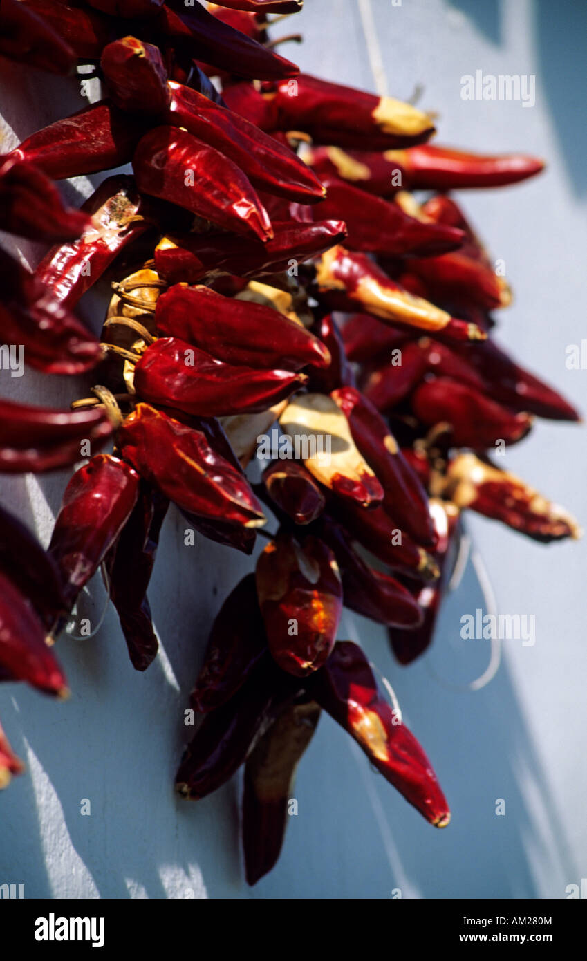 France, Pyrenees Atlantiques, Pays Basque, Espelette chili pepper Stock ...