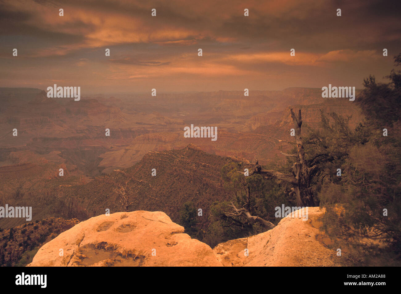 Grand canyon arizona view point ridge hi-res stock photography and ...