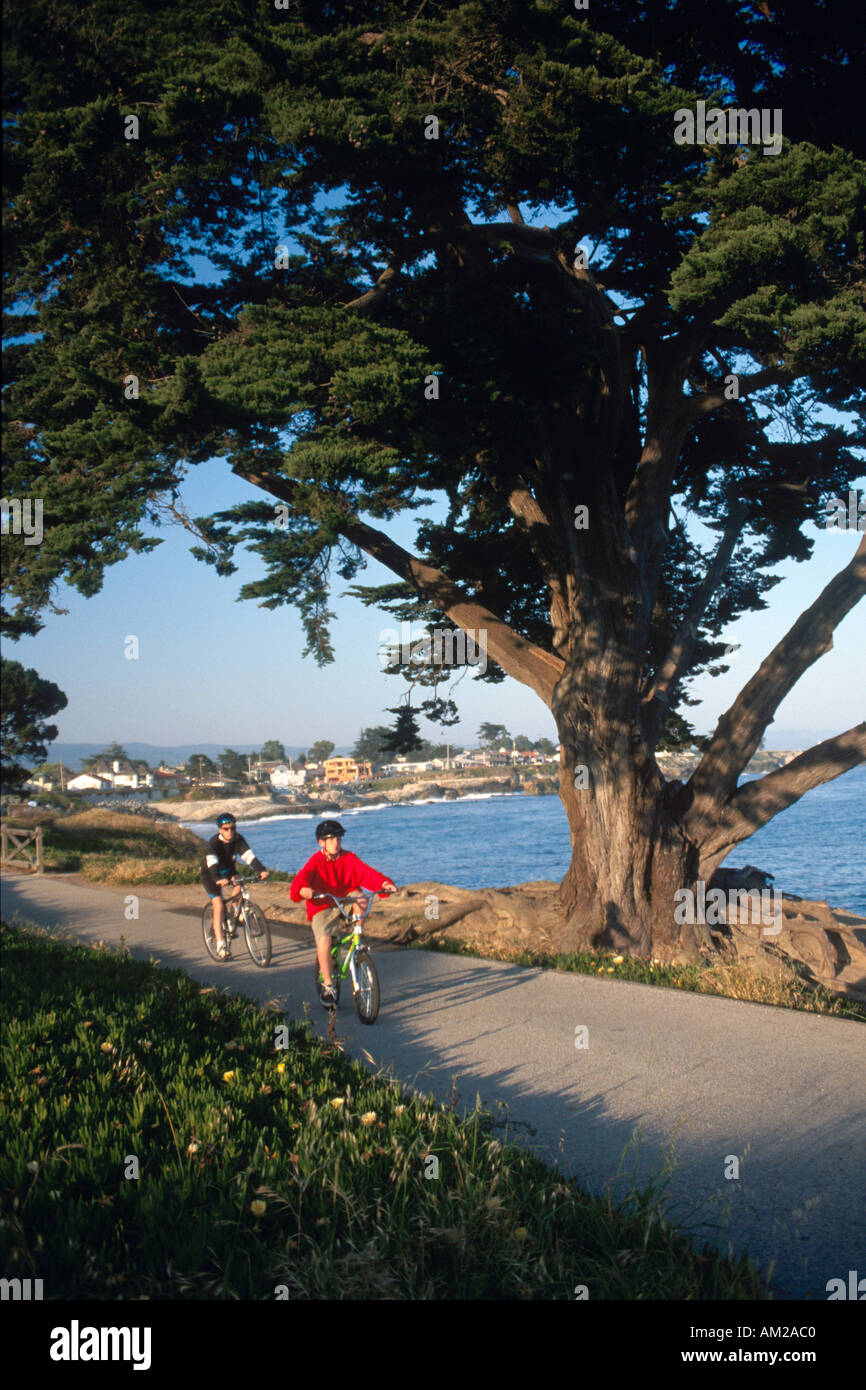 young boy child children riding bike path tree along ocean water Santa ...
