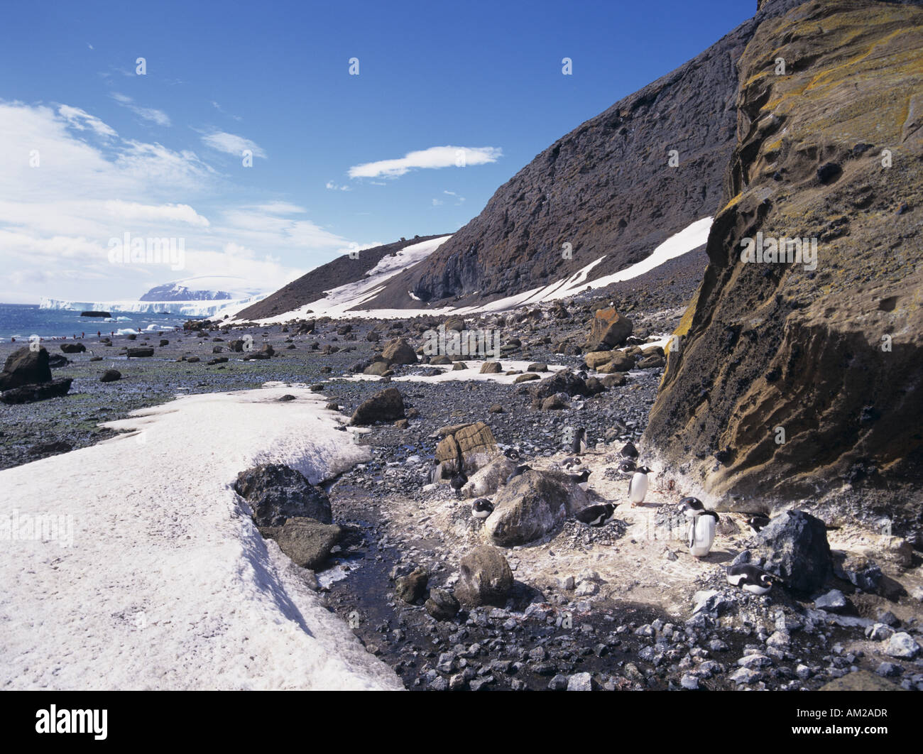 geography / travel, Antarctica, Brown Bluff, South Polar Ocean ...