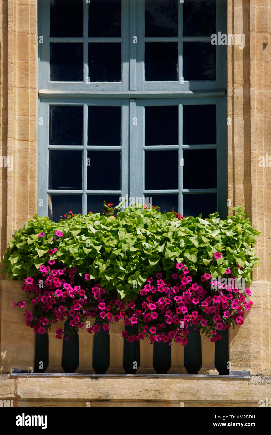 Window flower boxes in the town of Sarlat, Perigord, France Stock Photo ...