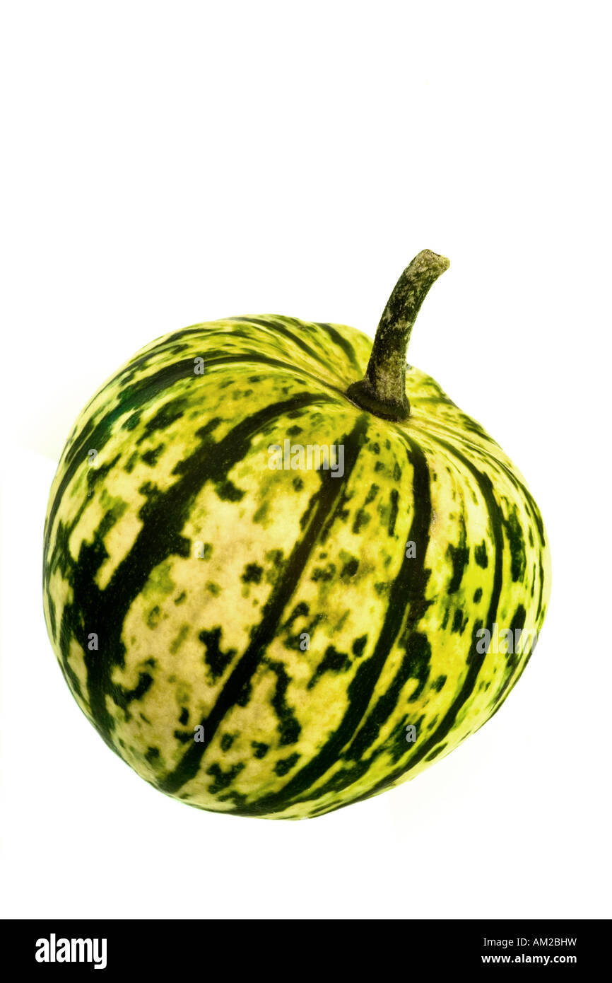 Green and Yellow Harlequin Squash on a White Background Stock Photo - Alamy