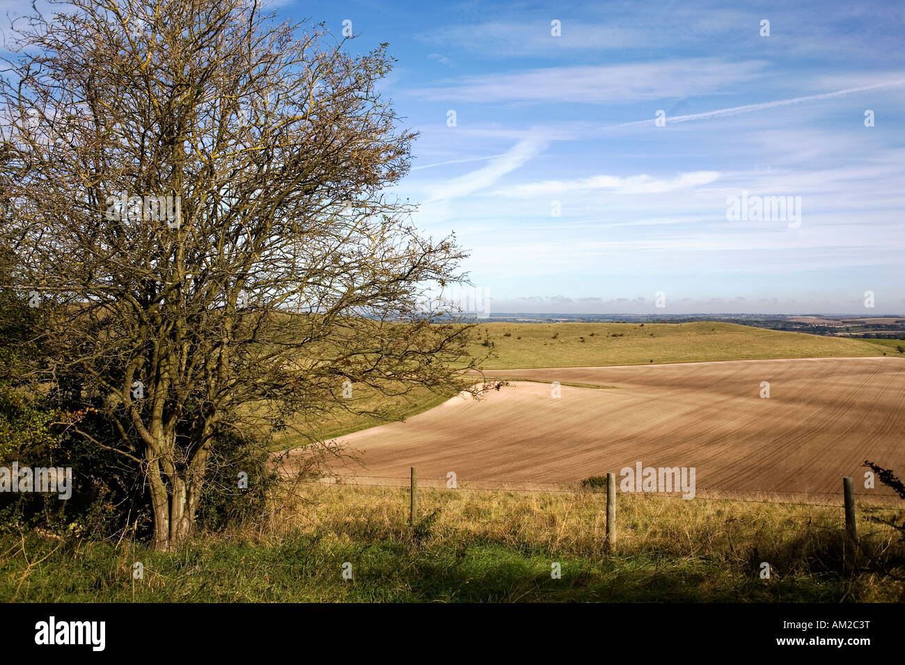 View from Ivinghoe beacon Stock Photo - Alamy