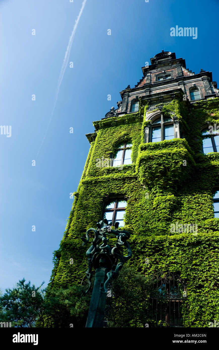 An old building covered in ivy, against a blue sky Stock Photo - Alamy