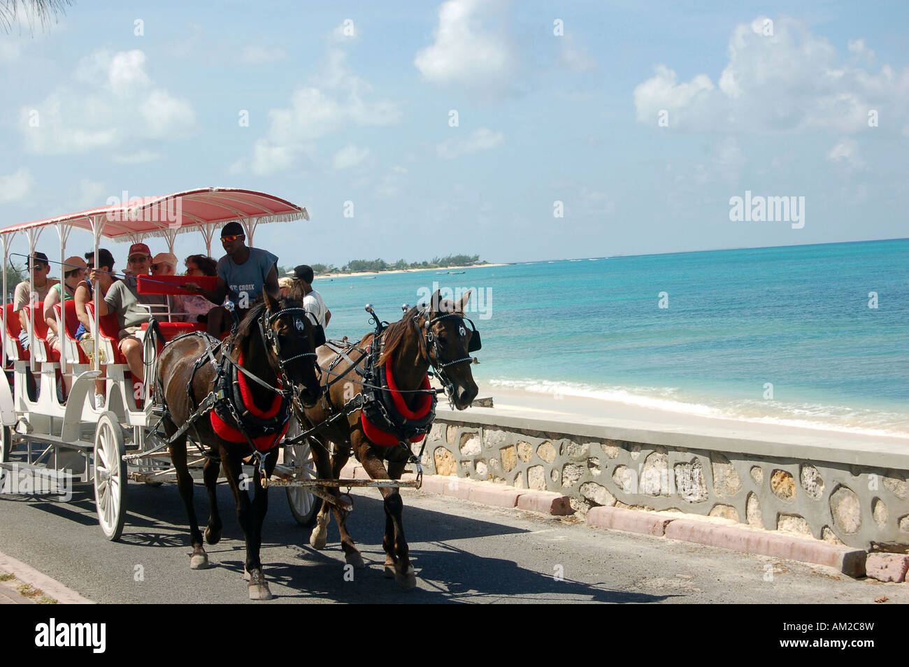 Horse of grand turk hi-res stock photography and images - Alamy