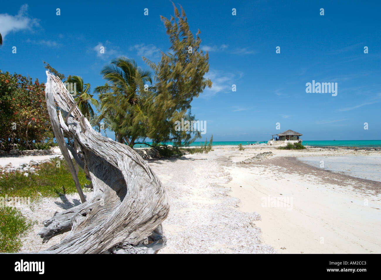 Andros island the bahamas hi-res stock photography and images - Alamy
