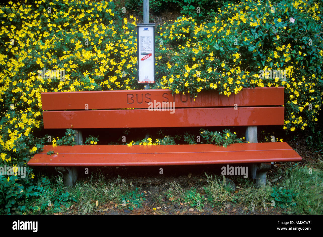 A bus stop in Big Sur California Stock Photo - Alamy