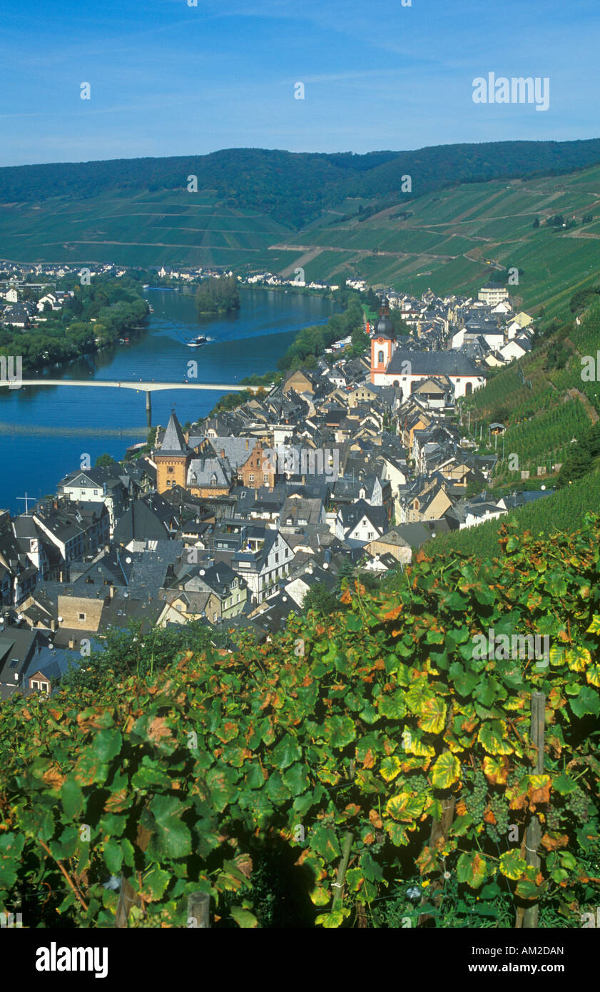 panoramic view of the small town Zell in the River Moselle Valley in ...