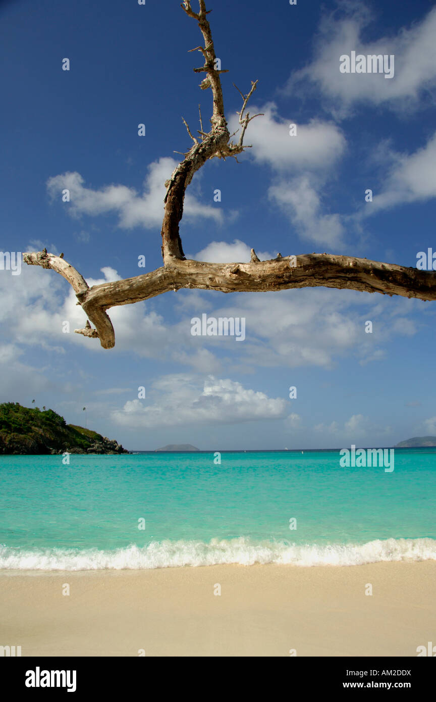 Trunk bay beach st john u s virgin islands hi-res stock photography and ...