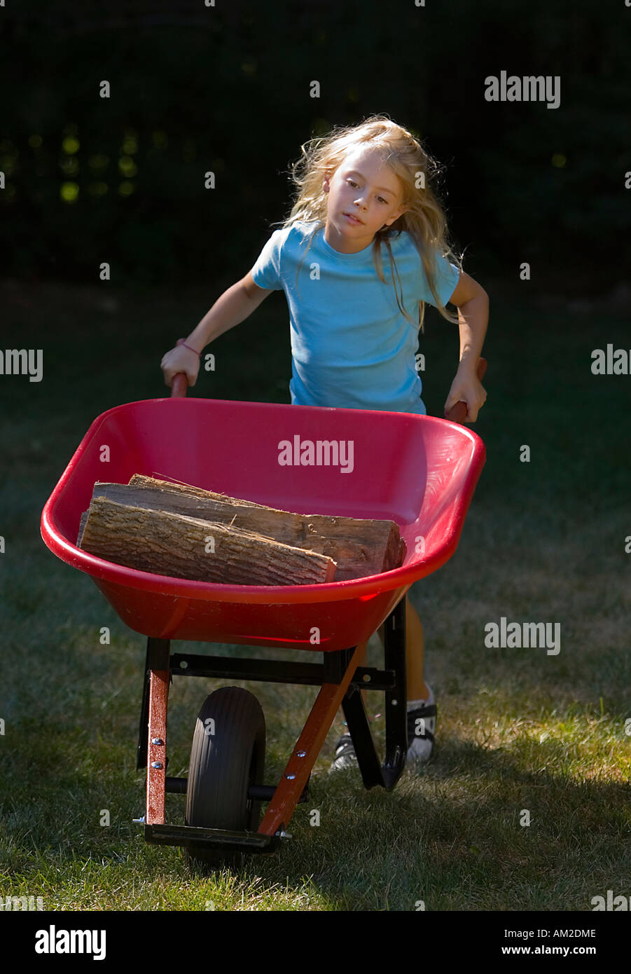 Child pushing a wheelbarrow full of firewood Stock Photo - Alamy