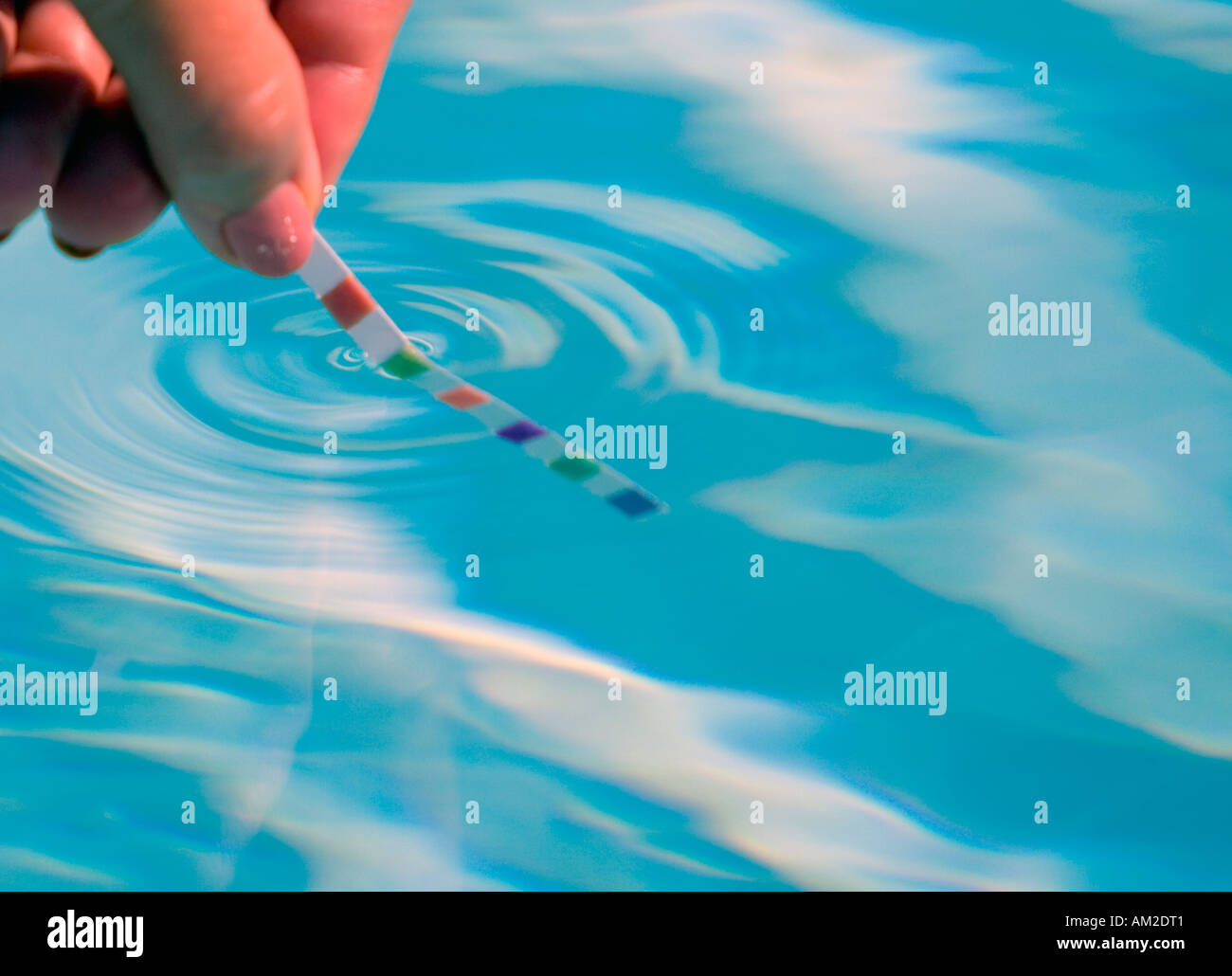 Checking chemical levels in a pool Stock Photo - Alamy