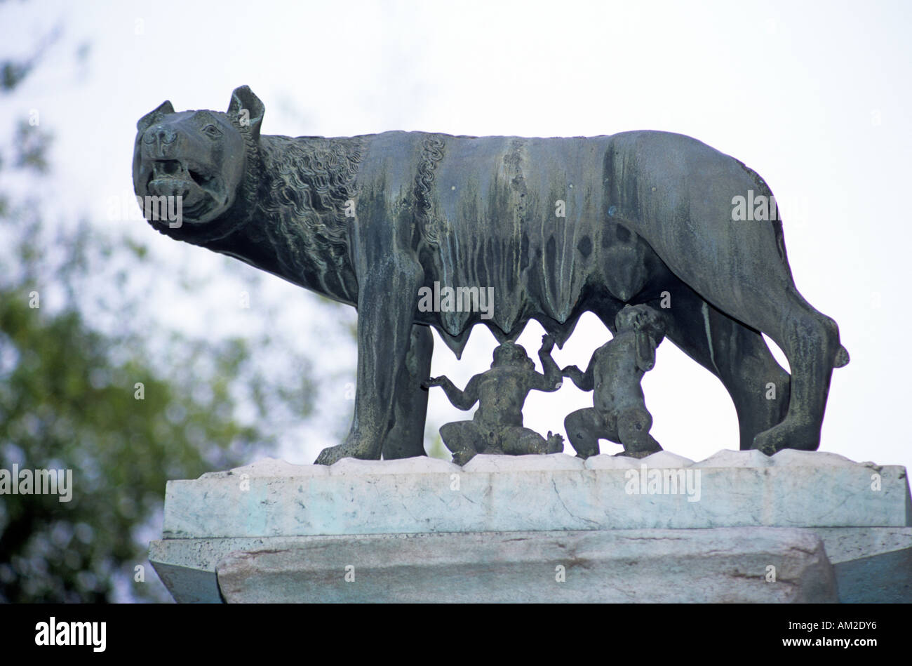 Statue of Capitoline she wolf with Romulus and Remus, Rome, Italy Stock ...