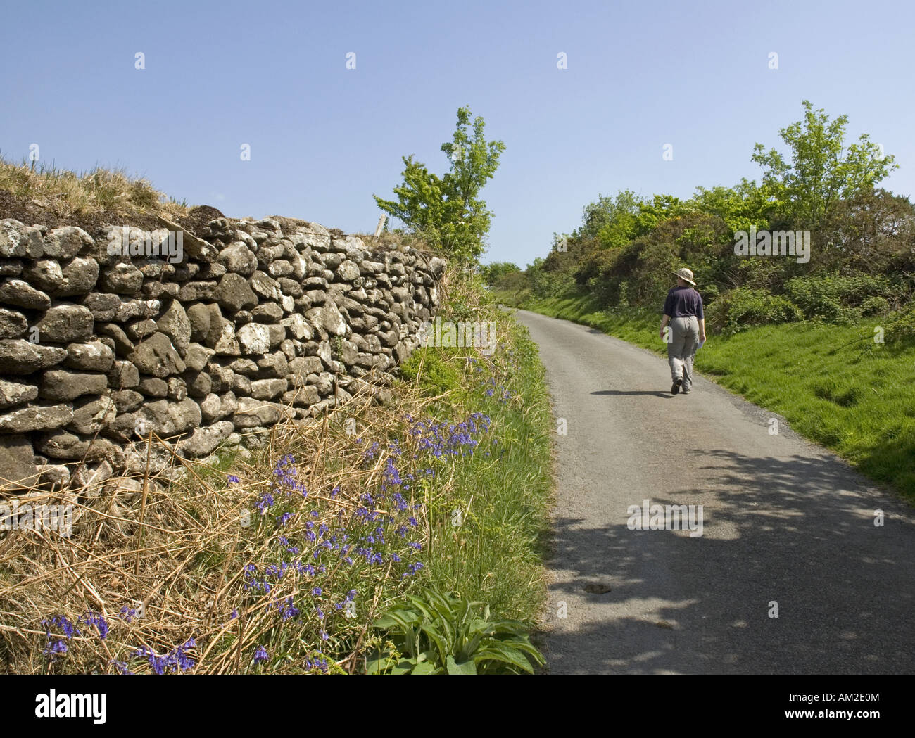 Walking the Walkham Valley on Dartmoor, Devon Stock Photo - Alamy