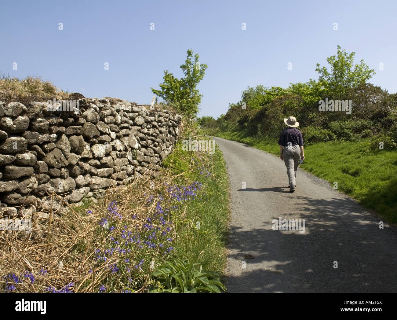 Walking the Walkham Valley on Dartmoor, Devon Stock Photo - Alamy