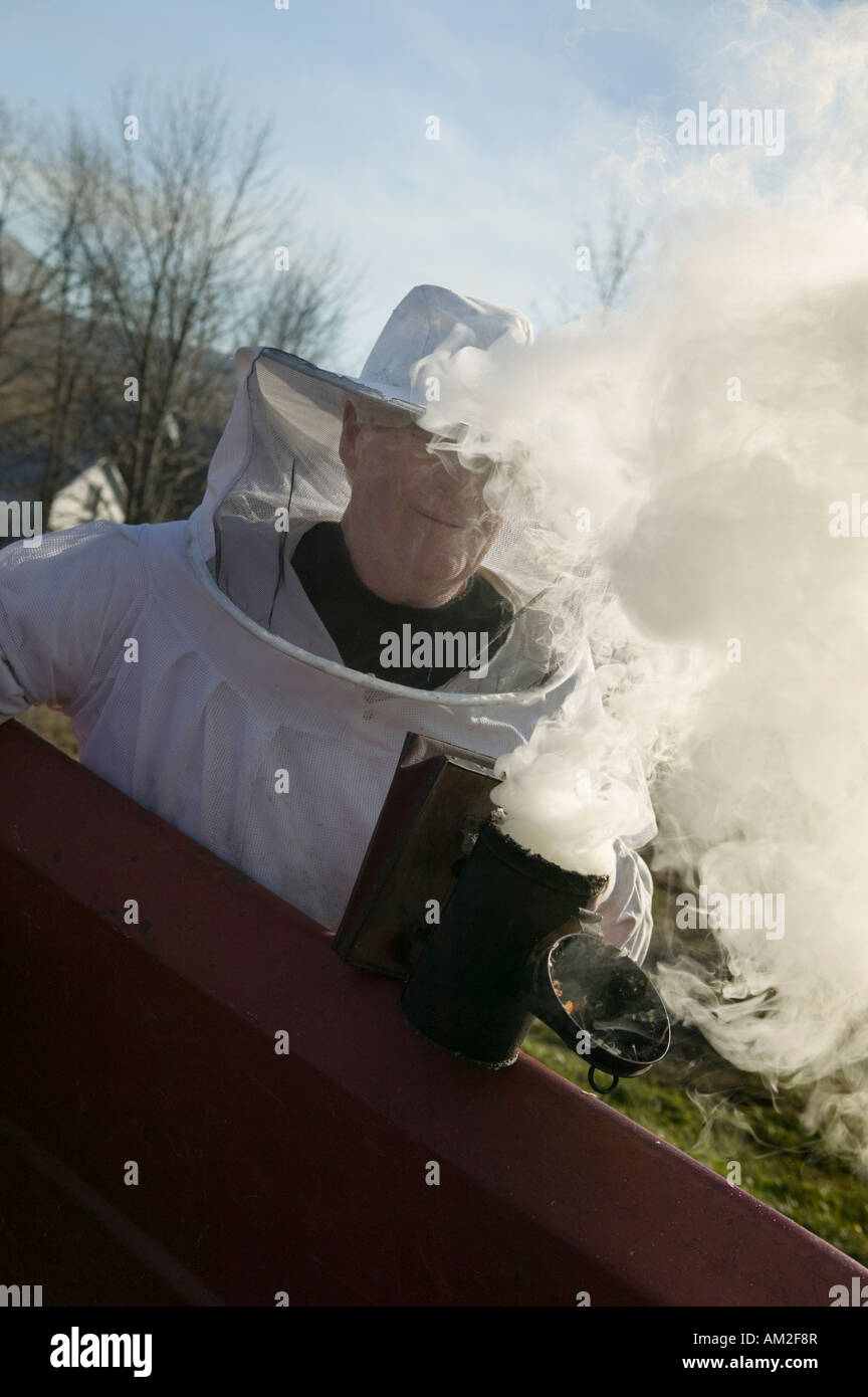Beekeeper with his smoker for protection in his apiary Sprout Brook New ...