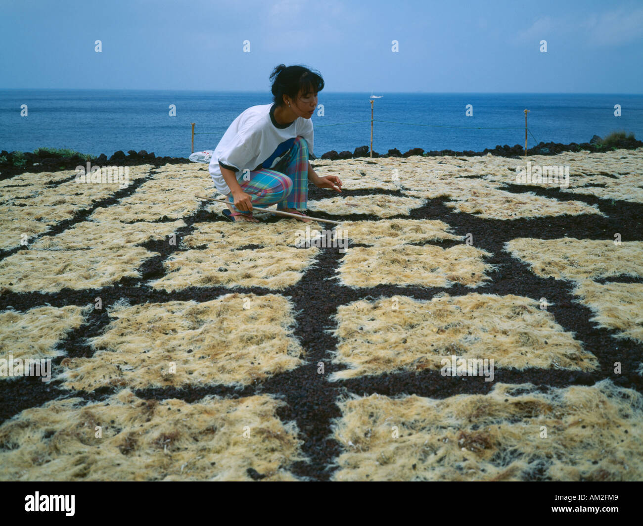 Japanese woman fishing hi-res stock photography and images - Alamy