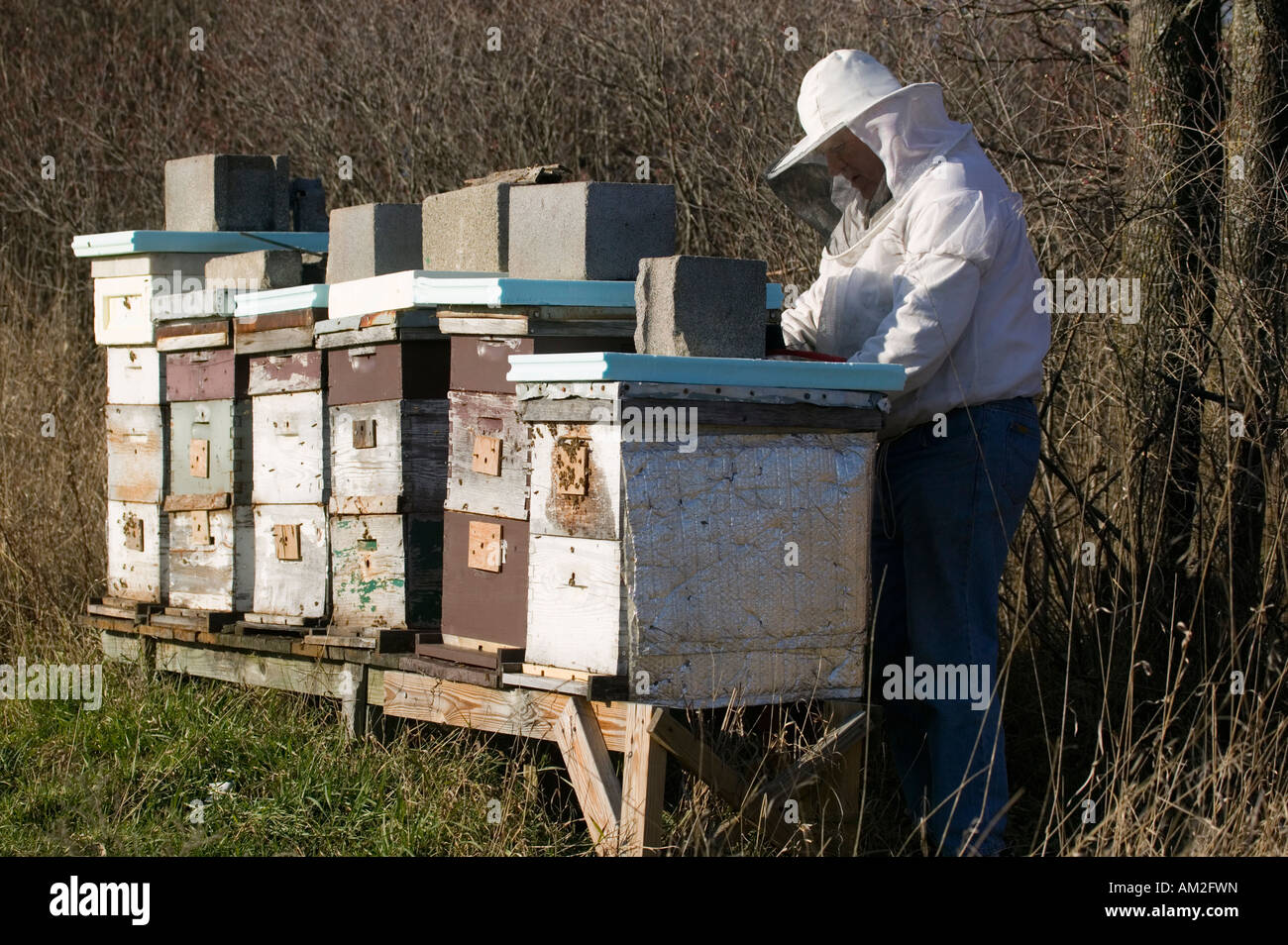 New york colony crops hi-res stock photography and images - Alamy