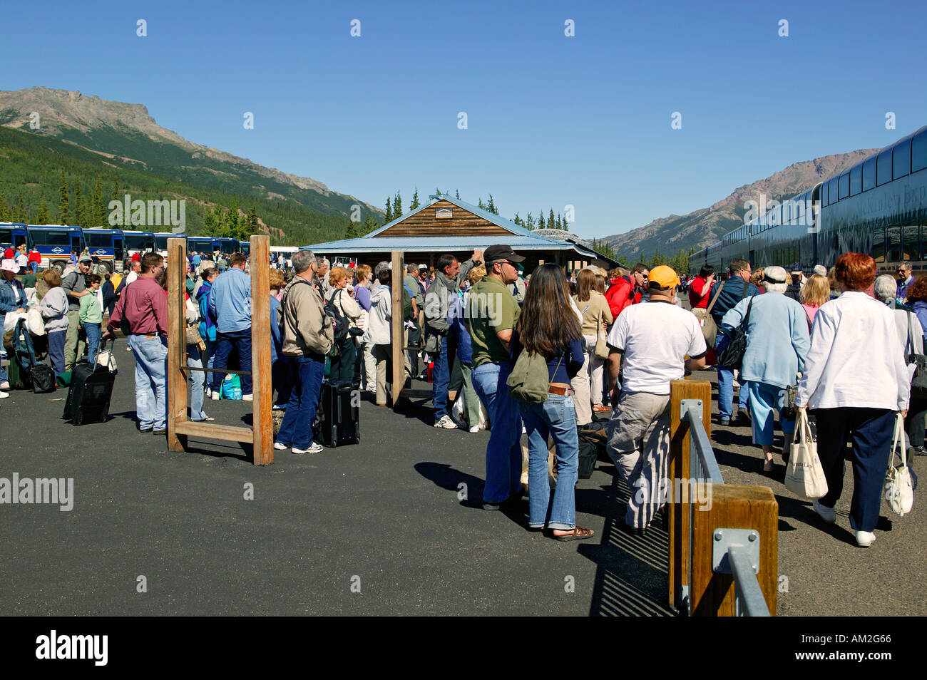 Buses at the Railroad Depot Denali National Park Alaska Stock Photo - Alamy