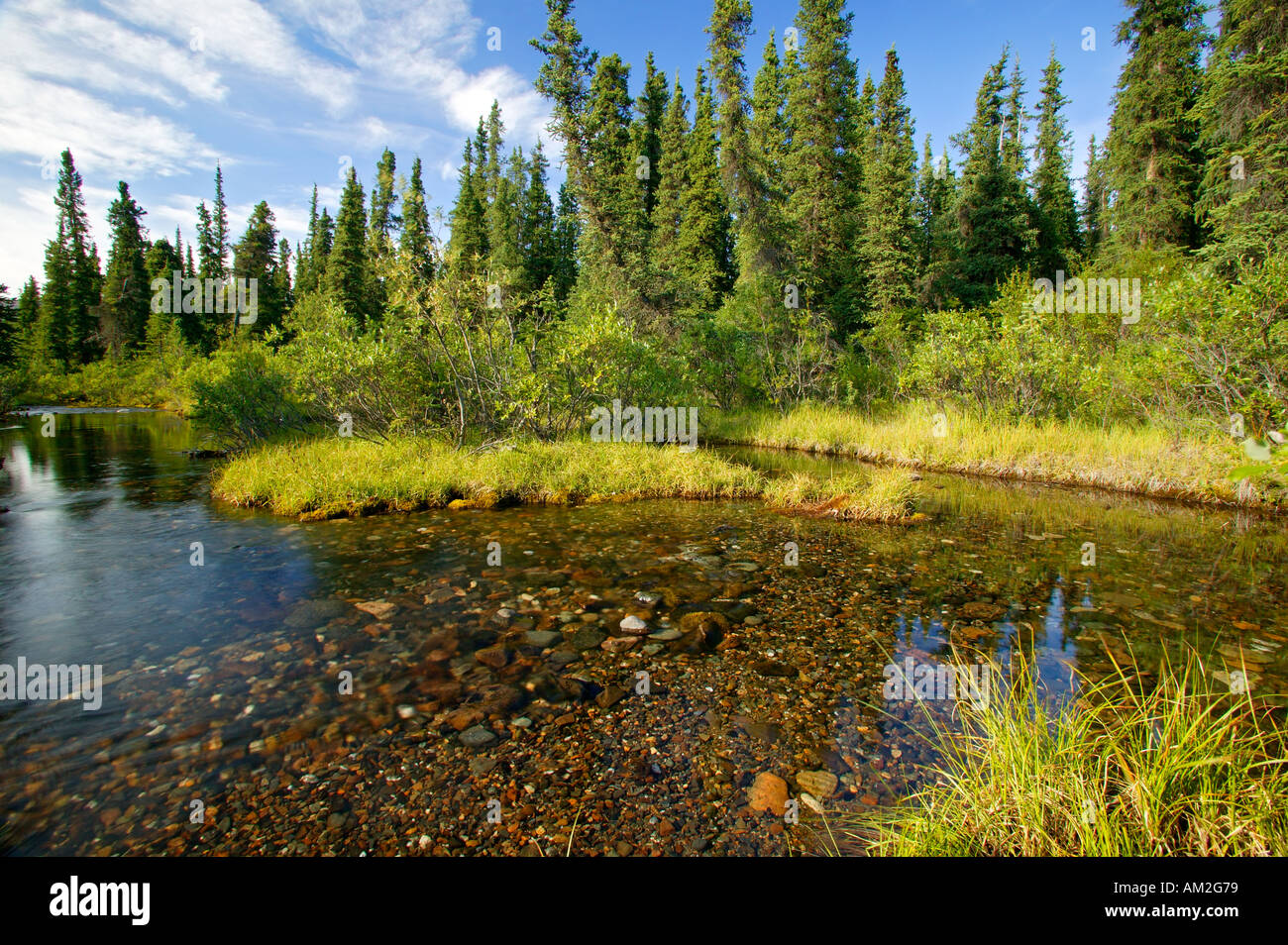 North american boreal forests hi-res stock photography and images - Alamy