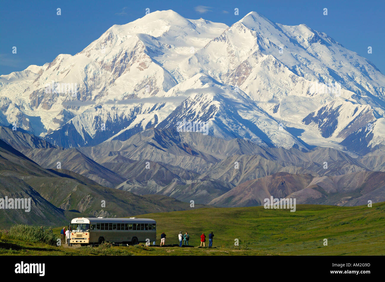 Tour buses and Mt McKinley from Stony Dome lookout Denali National Park ...