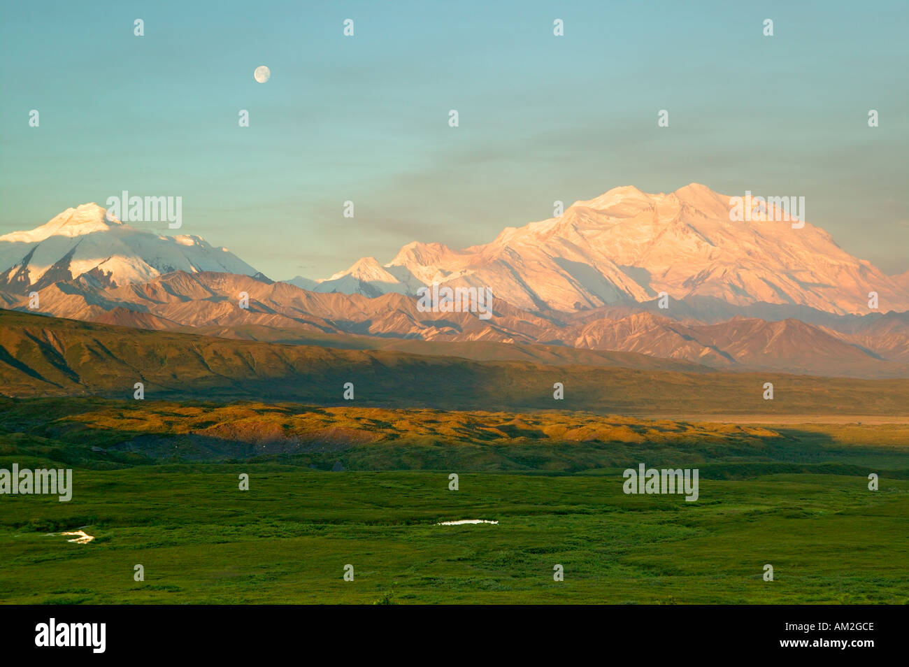 Mt McKinley Denali National Park Alaska Stock Photo - Alamy
