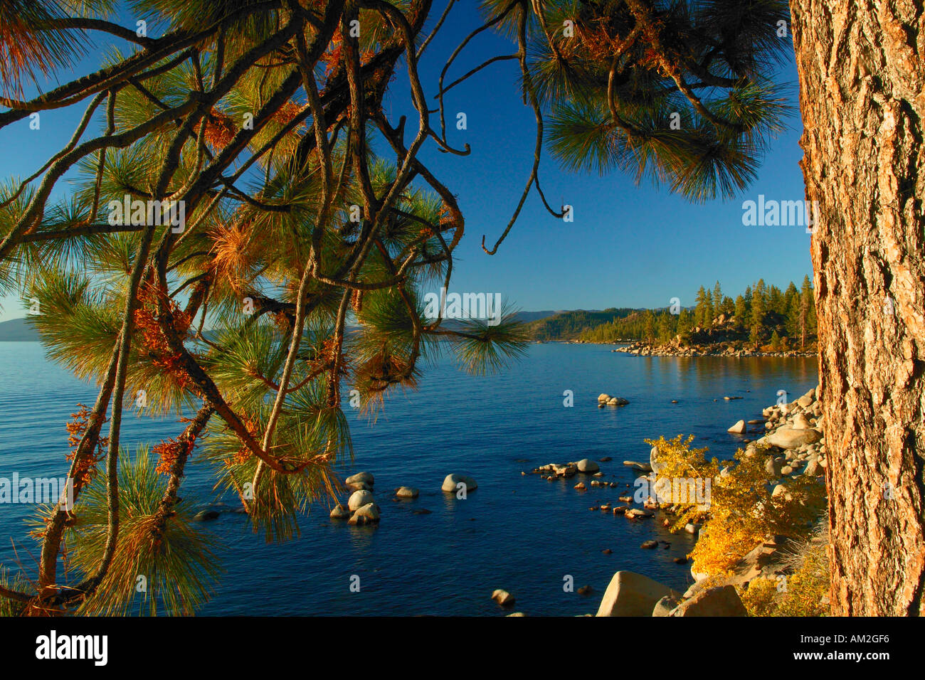Lake Tahoe Fall Colors Stock Photos & Lake Tahoe Fall Colors Stock ...