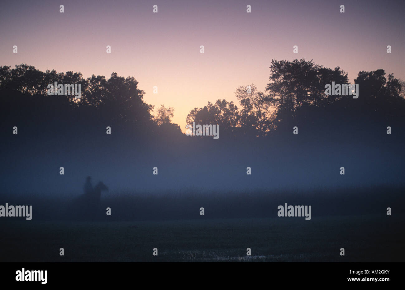 Ghost rider horse hi-res stock photography and images - Alamy