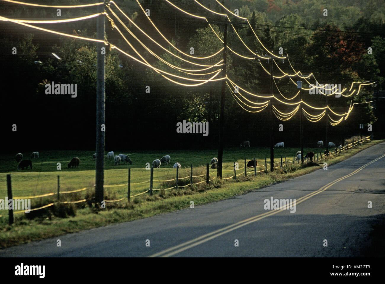 Wheelock hi-res stock photography and images - Alamy