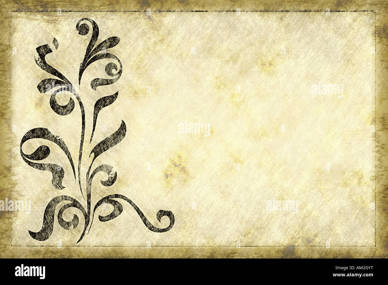 floral design on old parchment Stock Photo - Alamy