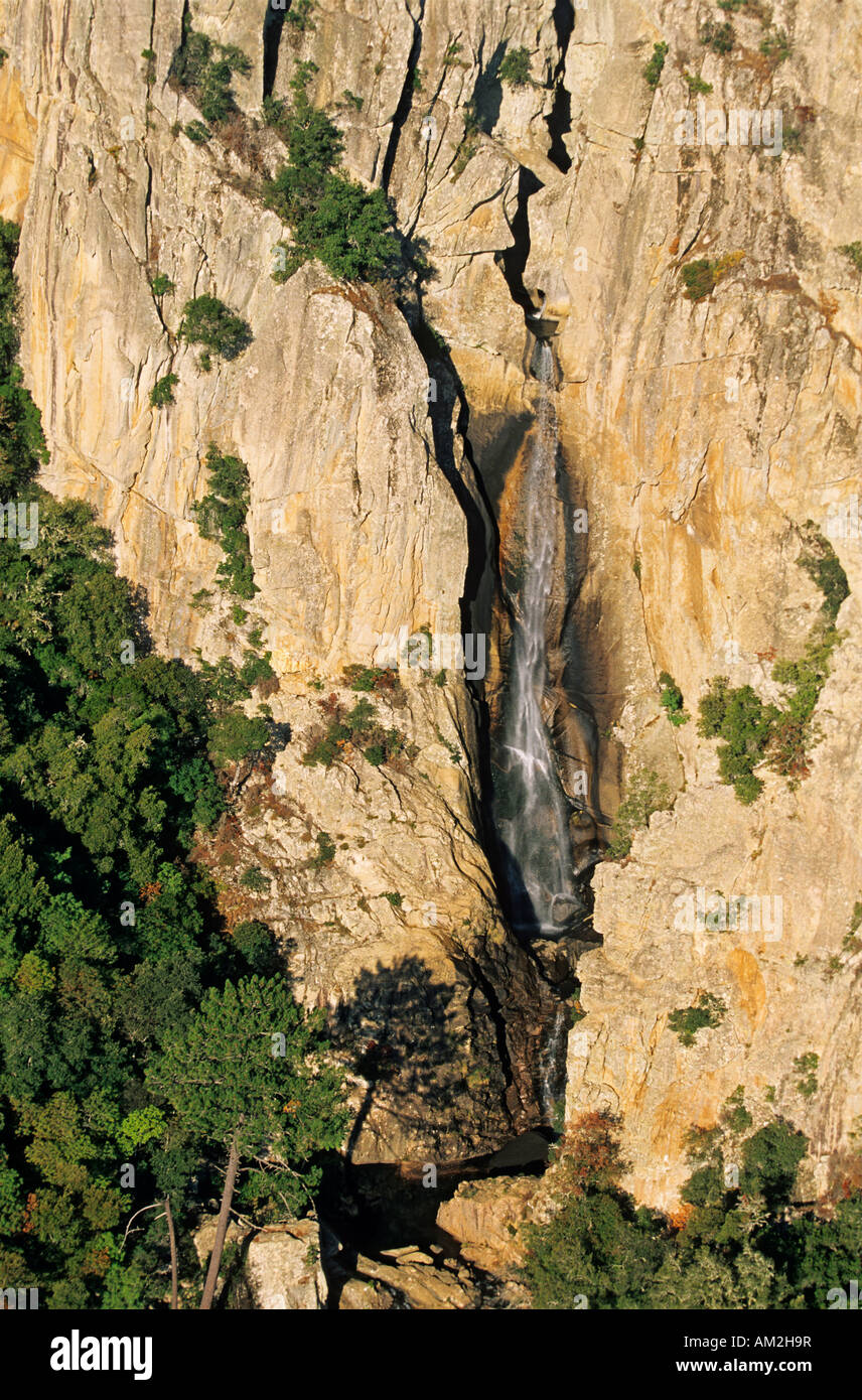 Crete du coq hi-res stock photography and images - Alamy