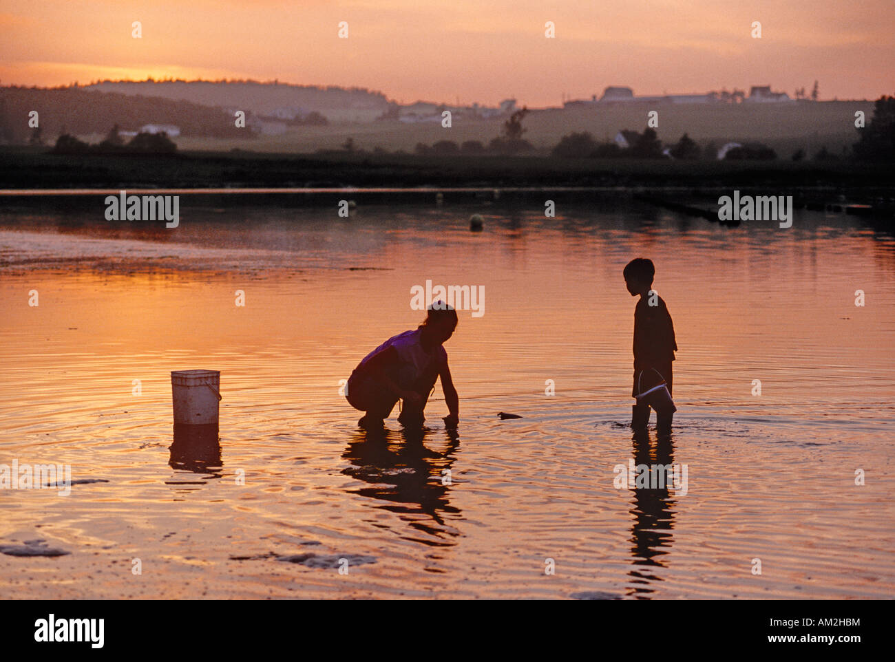 Woman Digging Clams High Resolution Stock Photography and Images - Alamy